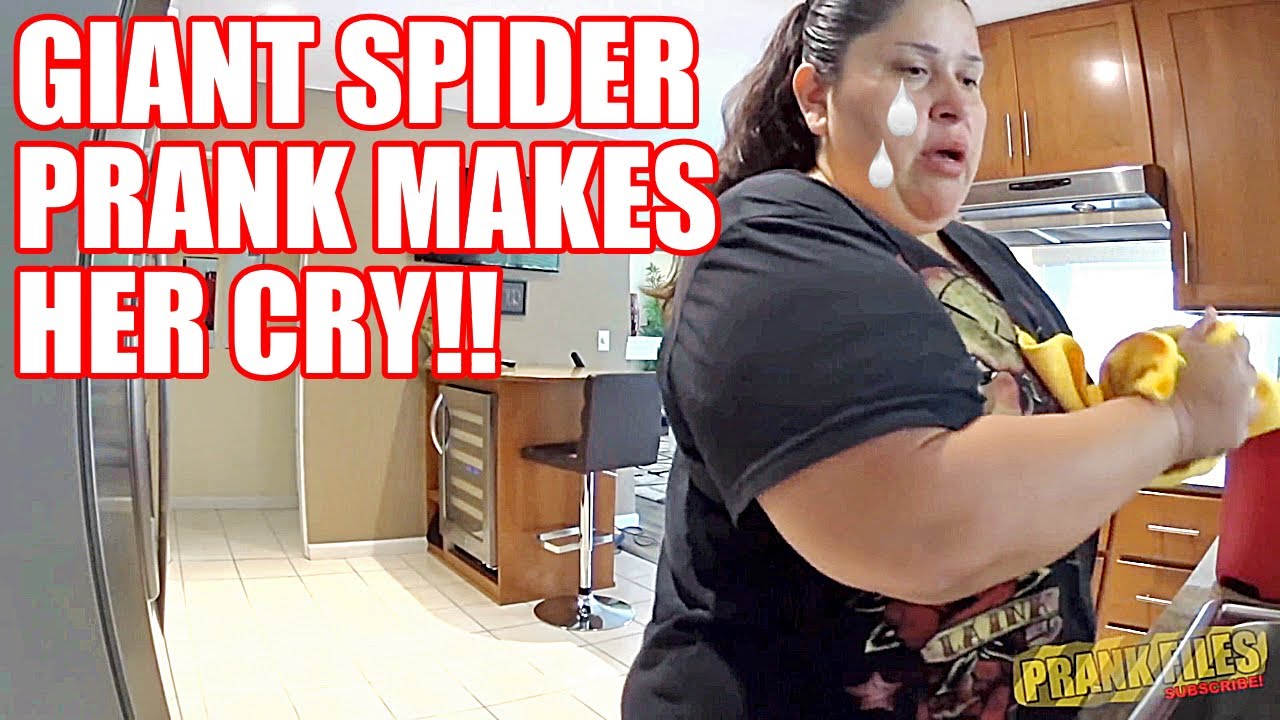 Giant Spider Prank Made Her Cry - Surprise Ending!! - YouTube