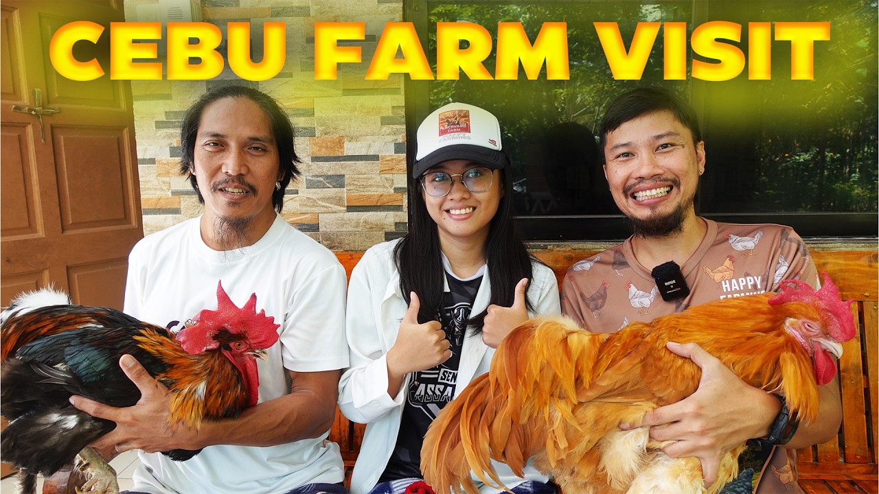 Cebu Farm Visit: Heritage Rare and Fancy Chicken Breeds Tour | Quincy ...