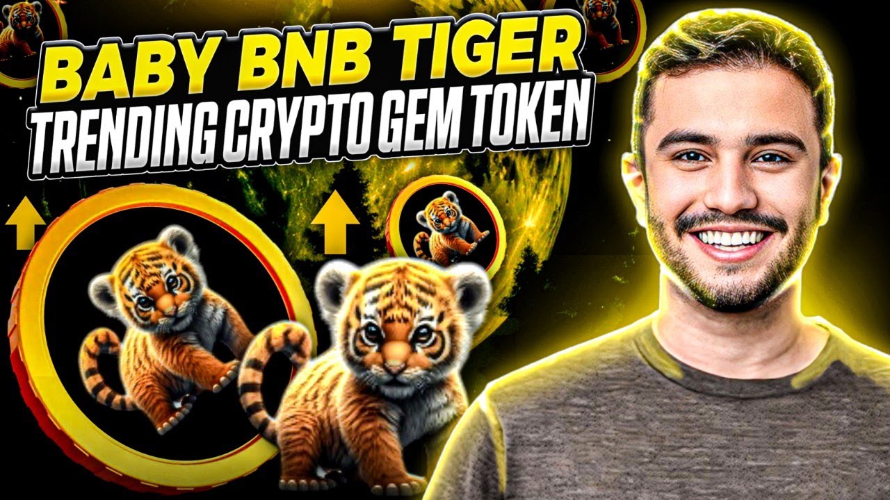 New amazing project baby bnb Tiger 🐅 how to buy - YouTube
