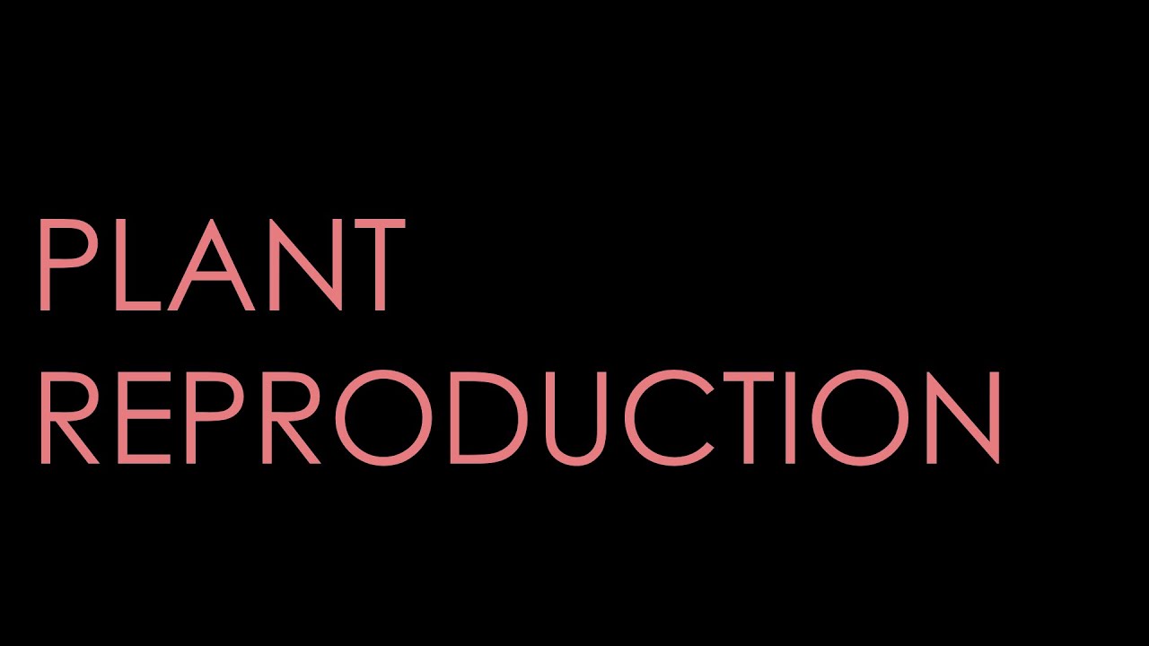 Plant Reproduction - KS3 Science (Biology) - YouTube