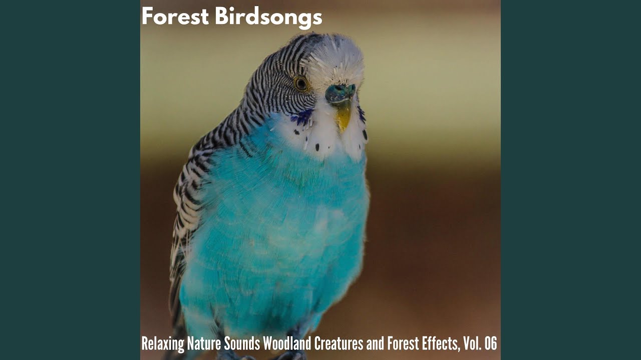 Upbeat Insect Hum - YouTube