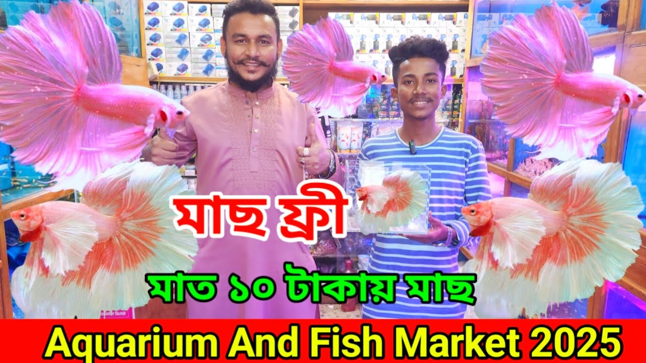 Aquarium fish Price in Bangladesh | Katabon Animal market in Bangladesh ...