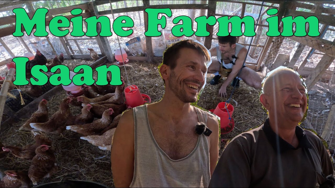 Meine Farm in Thailand im Isaan Folge 3 - YouTube