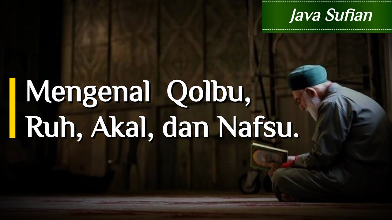 Perbedaan antara AKAL dan PIKIRAN || Penjelasan Qolbu, Ruh, Akal, dan ...