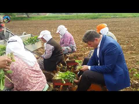 Anneler Gününüz Kutlu Olsun
