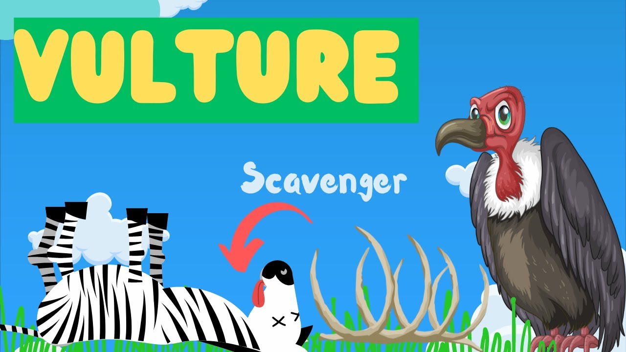 Vultures For Kids | Discovering the World of Vultures: Fun Facts for ...