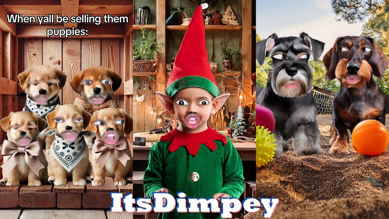 Discover the Latest Dimpey Shorts 2024 | Funnny ItsDimpey Shorts 2024 ...