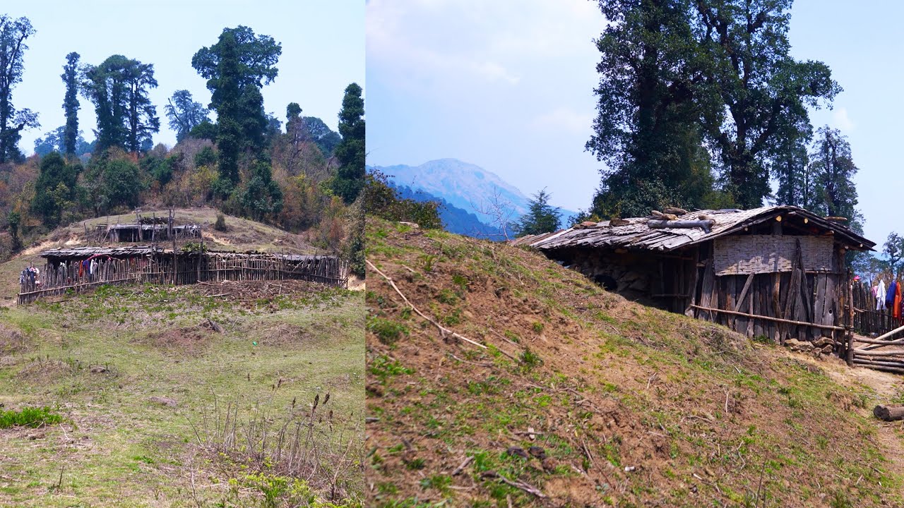 manjita's hut in the jungle @manjitacooking - YouTube