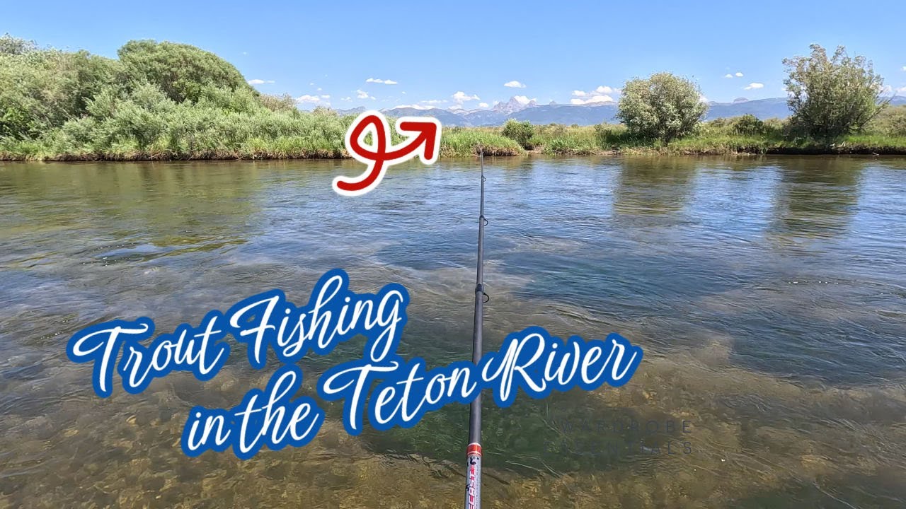 Trout Fishing in the Teton River - YouTube