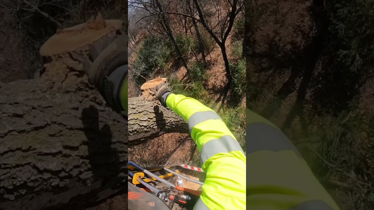 Synthetic Cabling & Chafe Sleeves – Game of Trees