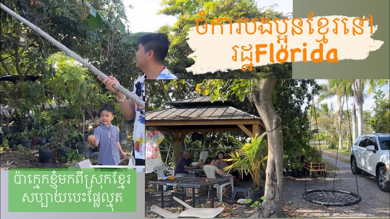 នាំឪពុកក្មេកនិងម្ដាយក្មេកមកពីស្រុកខ្មែរទៅលេងចំការ Khmer Farm In Florida ...