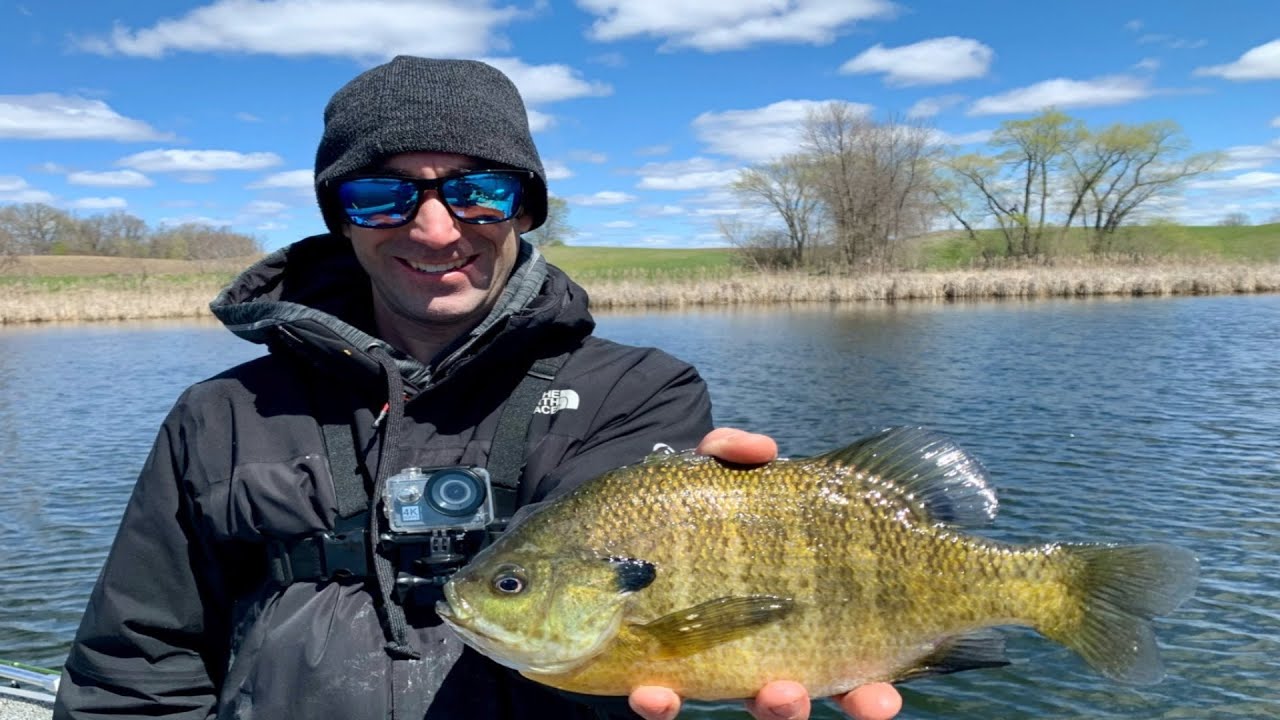 Chasing 1 pound Minnesota bluegills (bobber fishing for bull gills ...