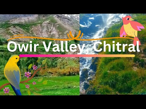 Owir Valley, Chitral: A Hidden Gem in Pakistan Part 2| Rivers ...