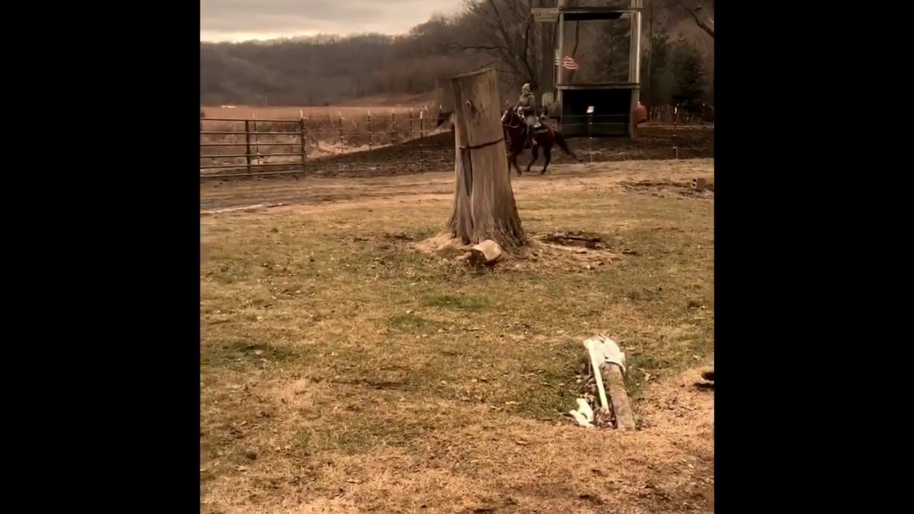 Amy and Singer - MWHF Clinic Application video 2022 - YouTube