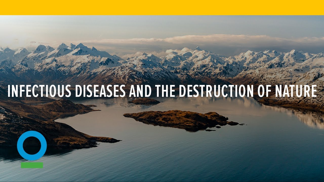 The Link Between Infectious Disease and the Destruction of Nature - YouTube