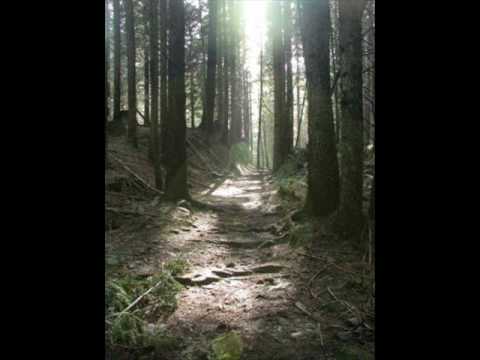 Whatcom County Trail System Welcomes You - YouTube