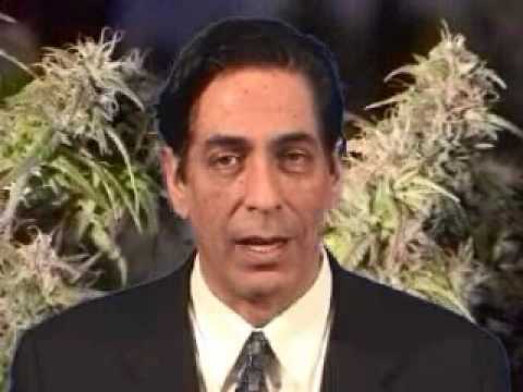 Steve Kubby Growing Marijuana - Intro - YouTube
