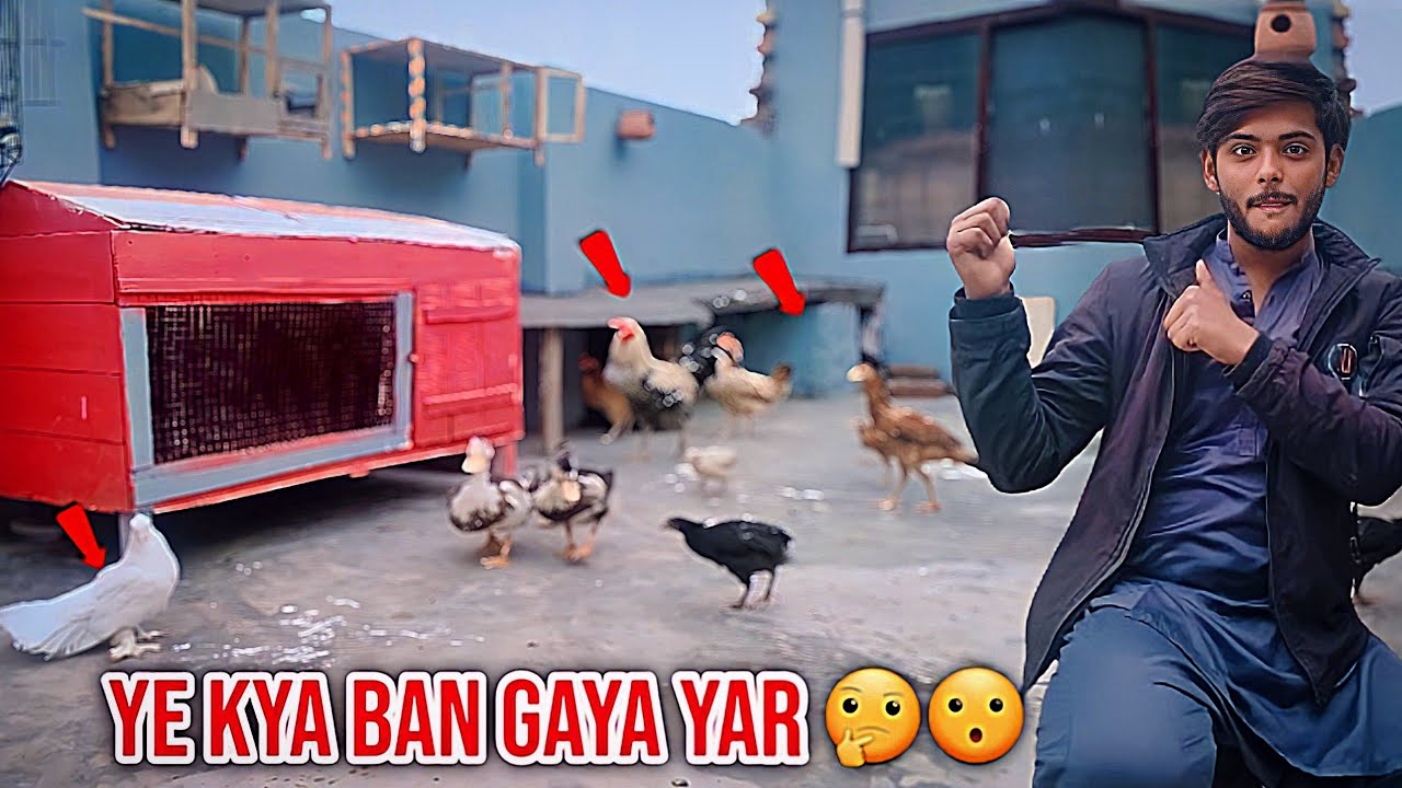 ye kya ban gaya yar 🤔 || family vlogs || daily vlogs - YouTube