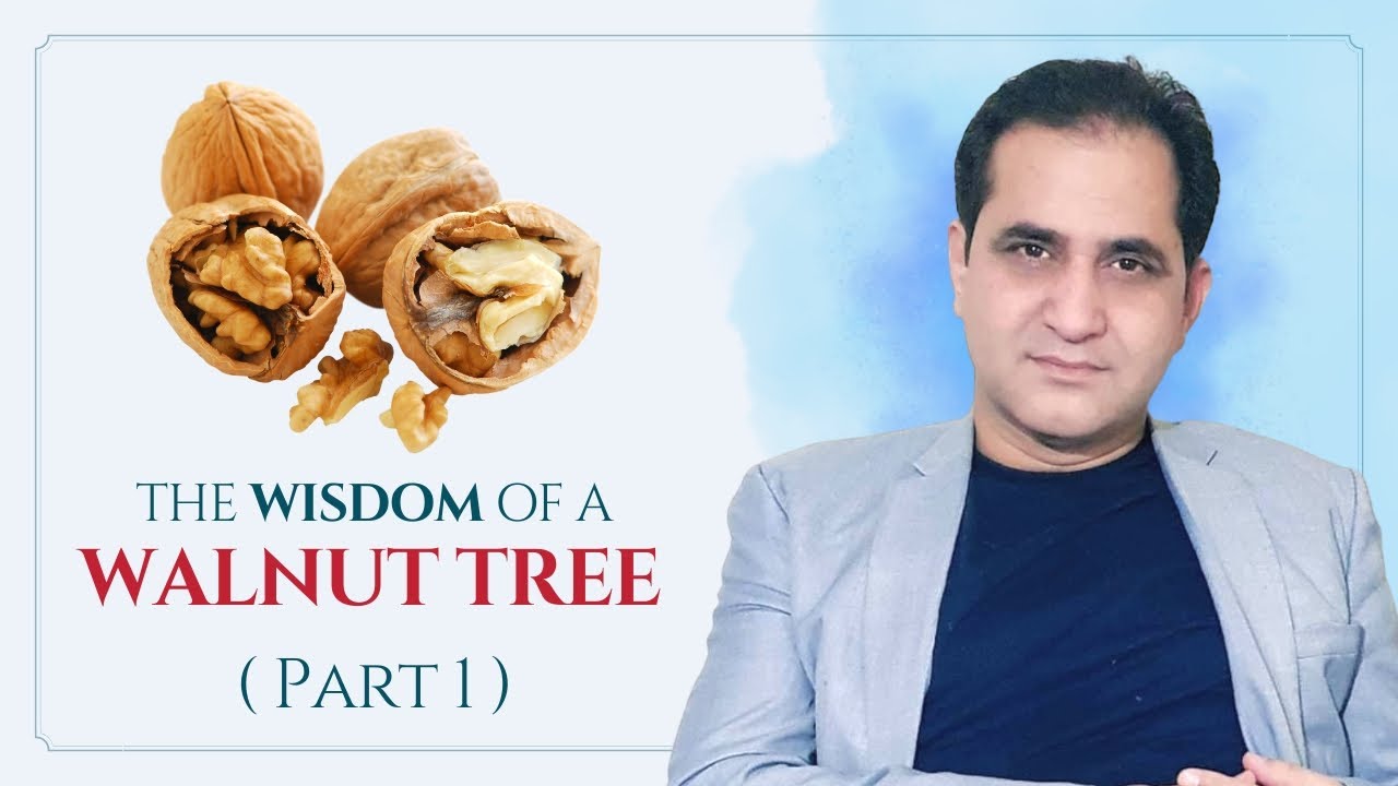 What is the INNER WISDOM of a Walnut Tree? | Part 1 | Sir Rehmat Khan ...