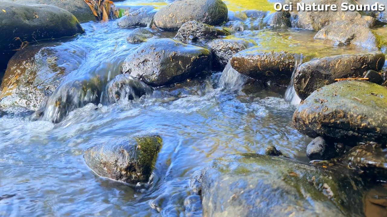 Peaceful Sounds, Trickling Water Sounds, Nature Sounds For Relax And ...