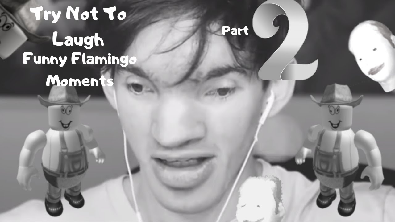 Try Not To Laugh: Funny Flamingo Moments (Part Two) - YouTube