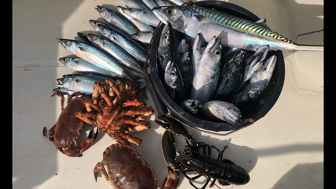 Mackerel Fishing and Hauling Lobster Pots - Sea Fishing Cornwall - The ...