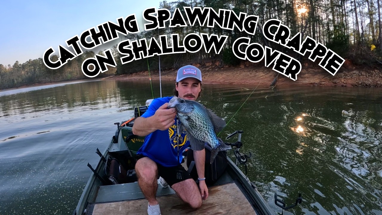 Catching Spawning Crappie on Shallow Cover on Clarks Hill (Lake ...