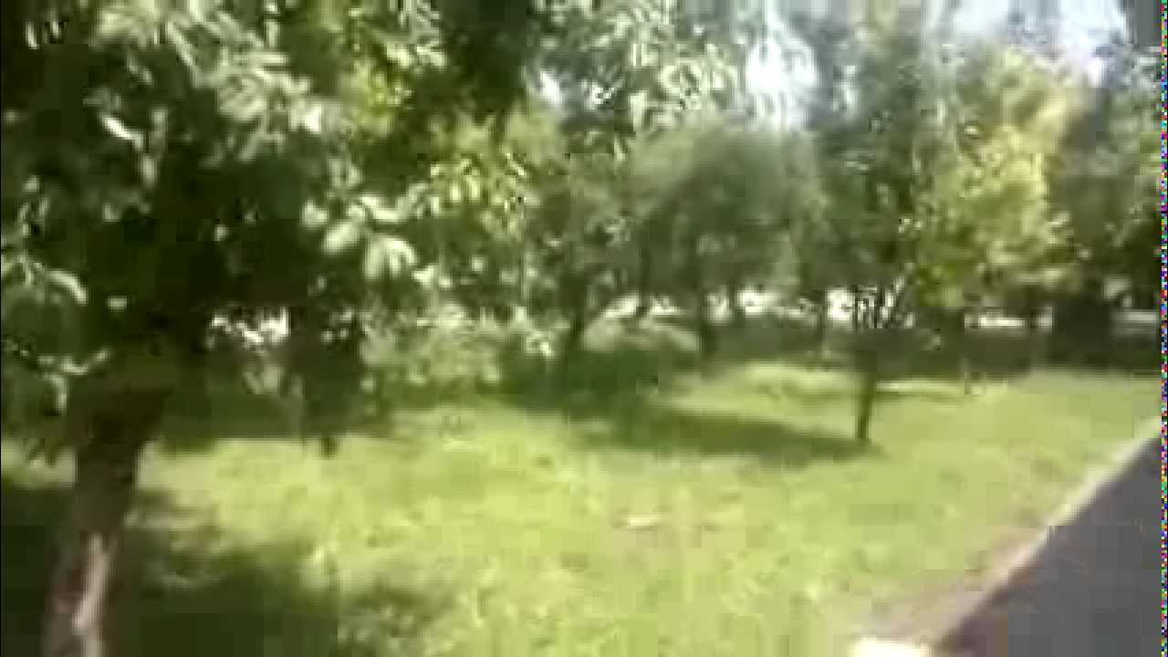Izbiste by Bozidar - Postovani gradjani sela Izbista mislim sta reci ...