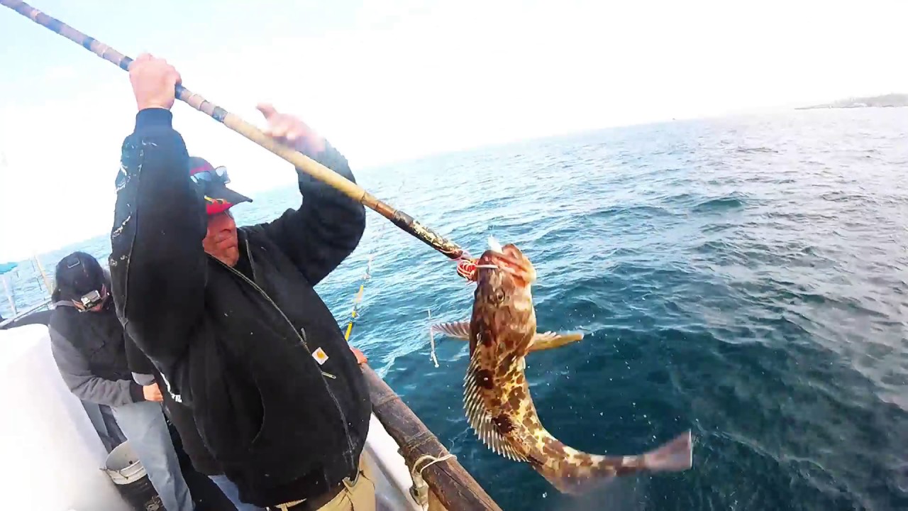 LINGCOD JIGS LING - YouTube