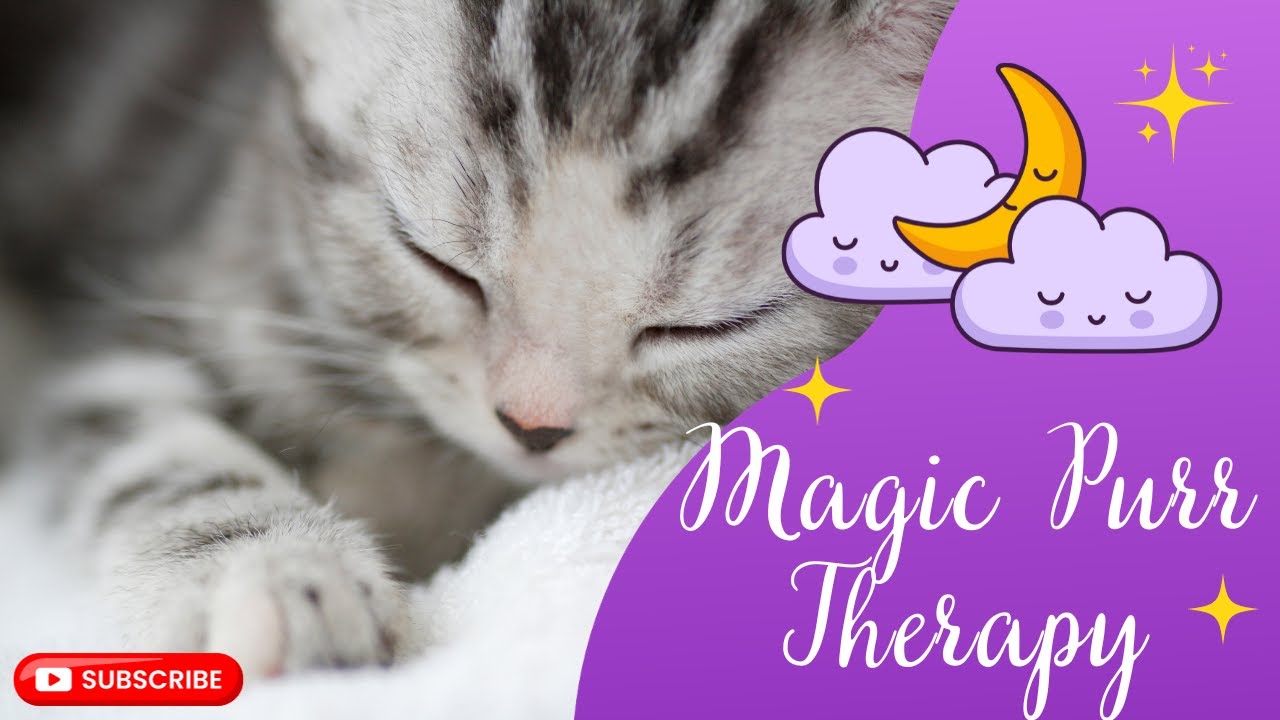 Magic Purr Therapy: 20-Minute Instant Healing & Relaxation with ...