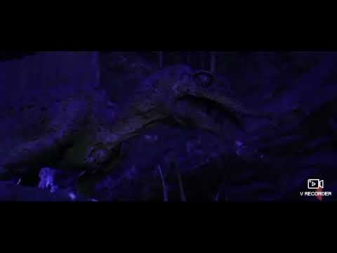 4 LEGGED spinosaurus - YouTube