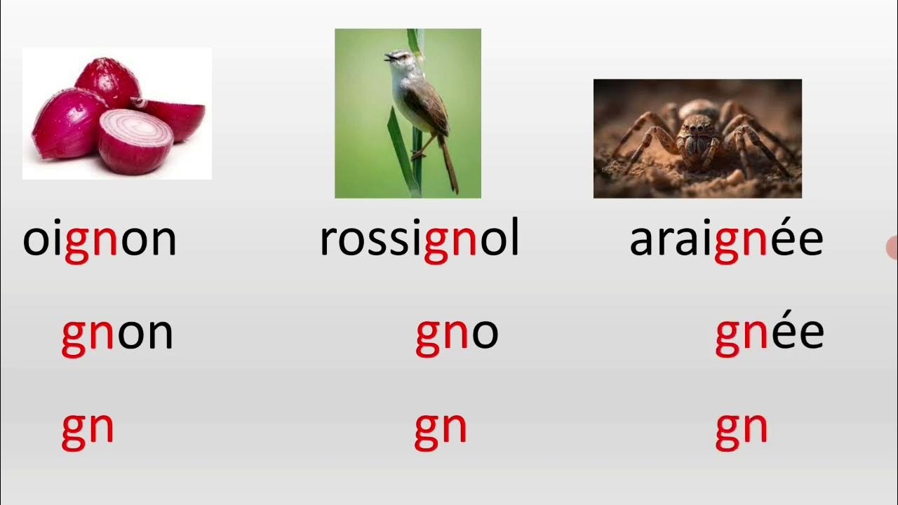 Apprendre à lire le son "gn"/ Apprendre à lire le français facilement ...