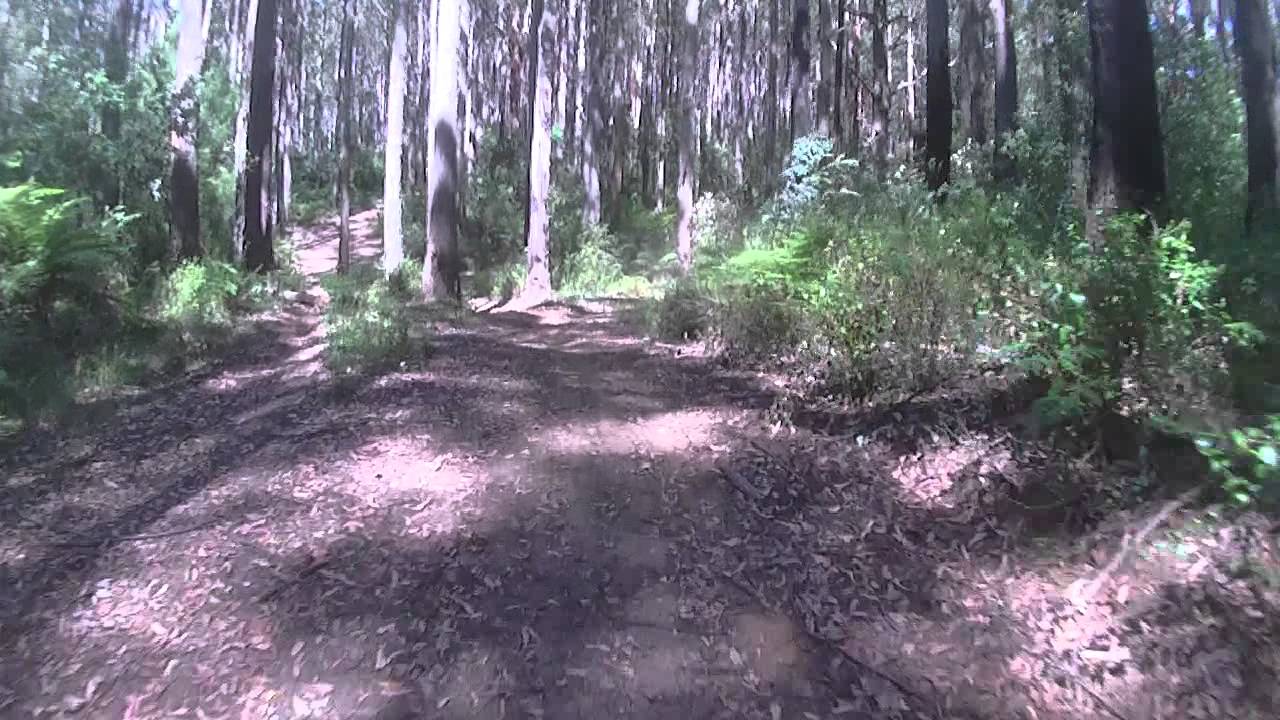 Worley Track Bunyip State Forest - Three Bridges - YouTube