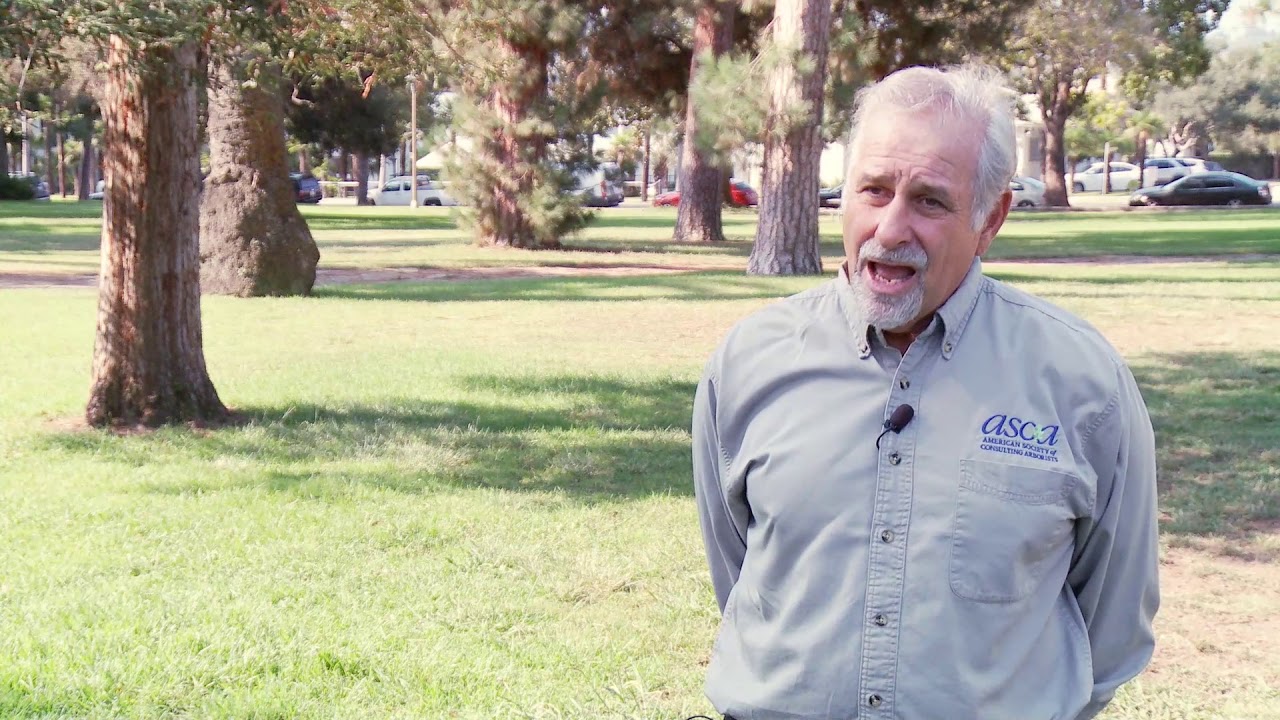 The Role an Arborist: Bill Spiewak - YouTube