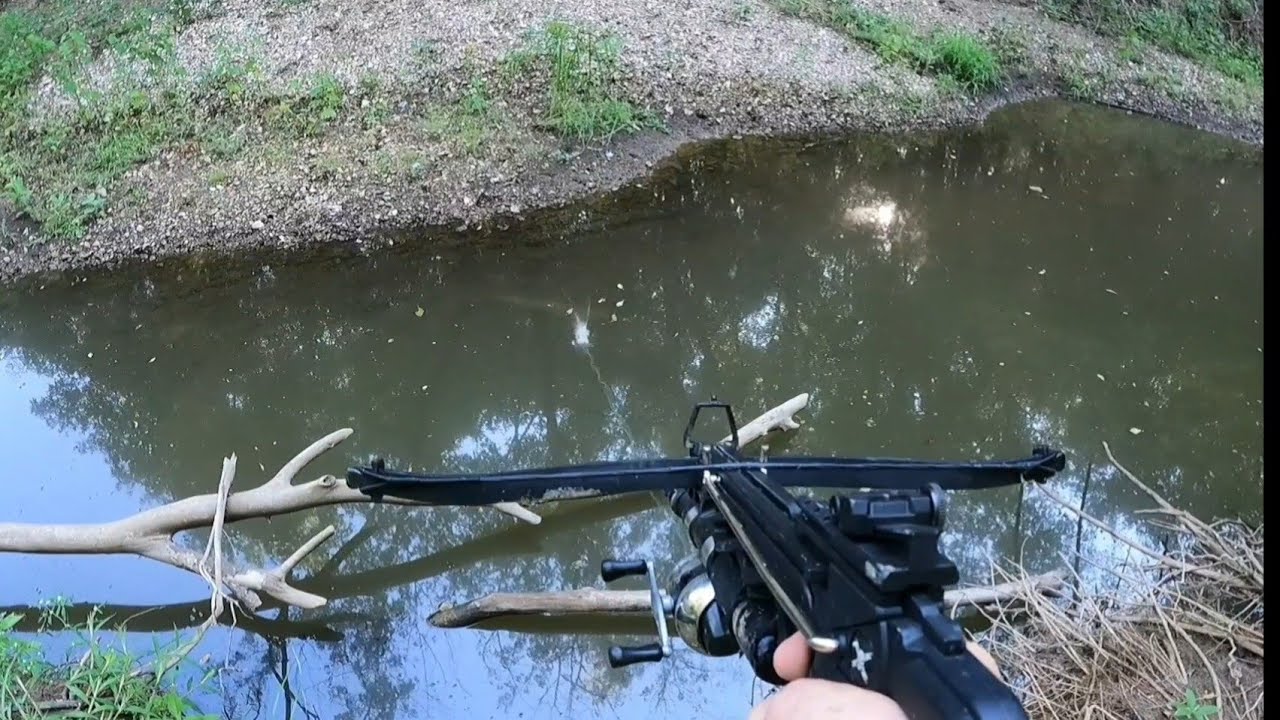 Bowfishing a Big River With a Mini Crossbow - YouTube