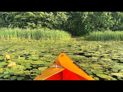 Kayaking Mudd Lake - Tucktec Folding Kayak - YouTube
