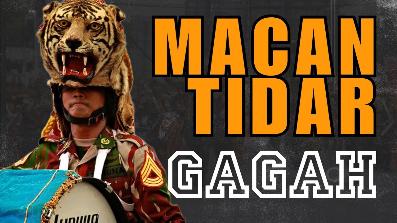 MACAN TIDAR YANG SELALU MENCURI HATI - YouTube