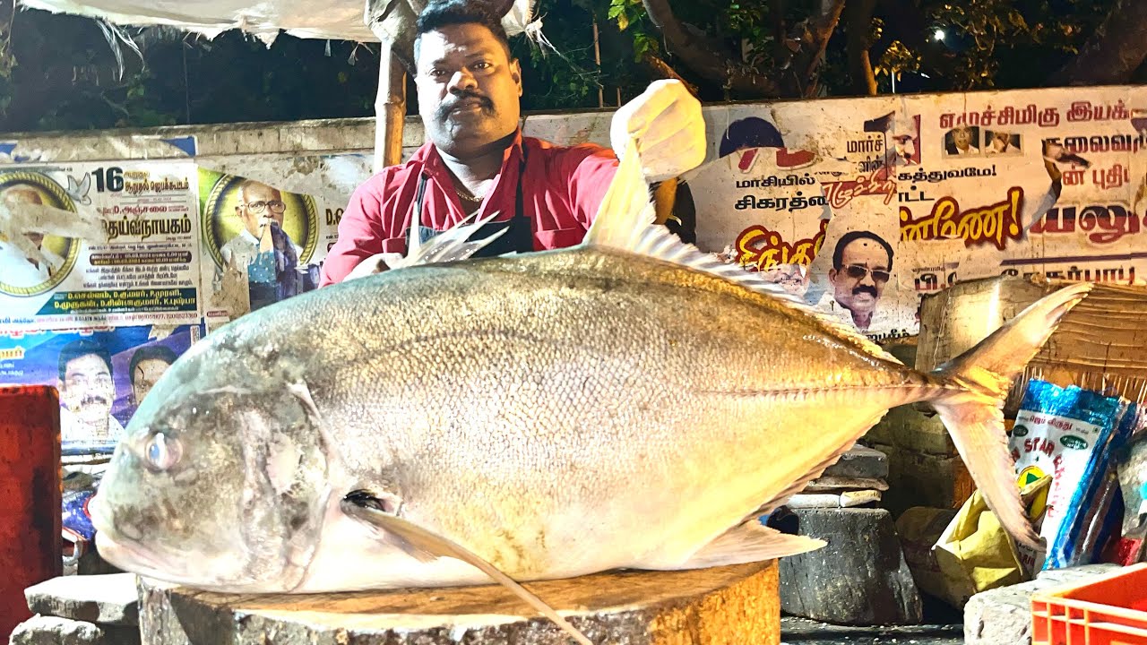 SPEED SELVAM💥37kg BIG SIZE TREVALLY FISH CUTTING🔪 VIDEO | KASIMEDU ...
