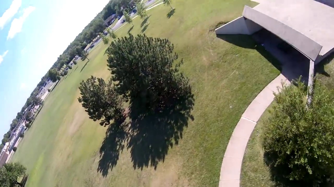 Bonus Scene: Who put that tree there? - YouTube