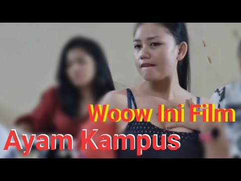 Full Sinopsis Film Ayam Kampus 2023