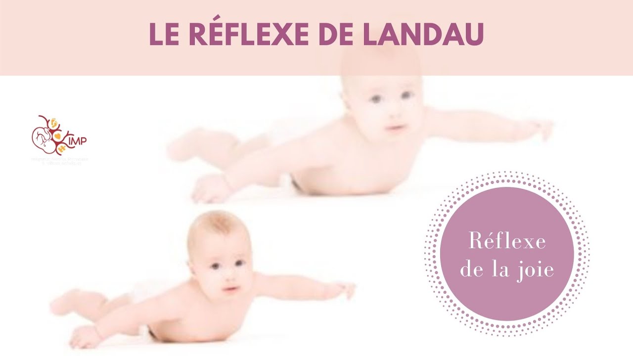 Le réflexe de Landau - Intégration Motrice Primordiale (IMP) - YouTube