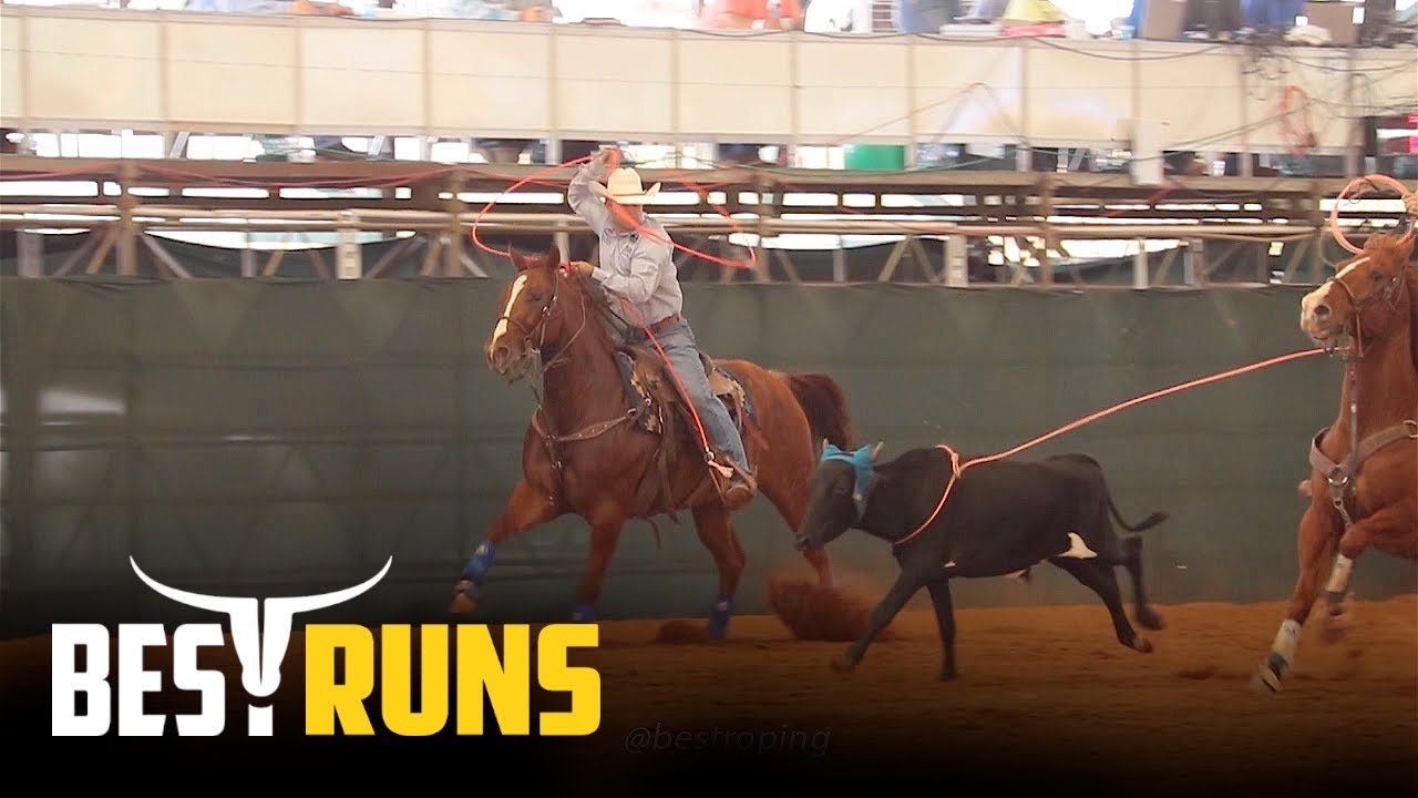 BEST RUN | BEST ROPING - YouTube
