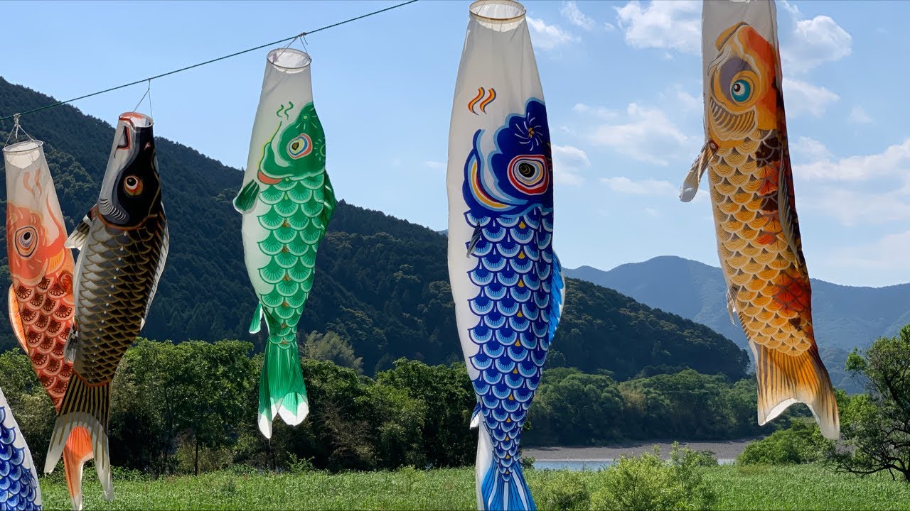 Japanese Flying Carp | Koi no Bori - YouTube