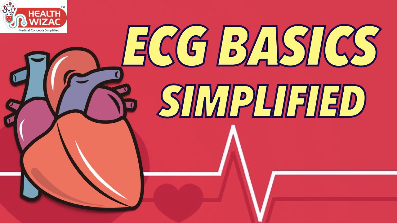 ECG BASICS SIMPLIFIED | ECG BASICS MADE EASY | UNDERSTANDING ECG BASICS ...