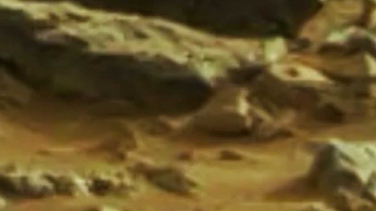#10 Fossils on, Planet MARS, dinosaur bones, mars anomalies - YouTube