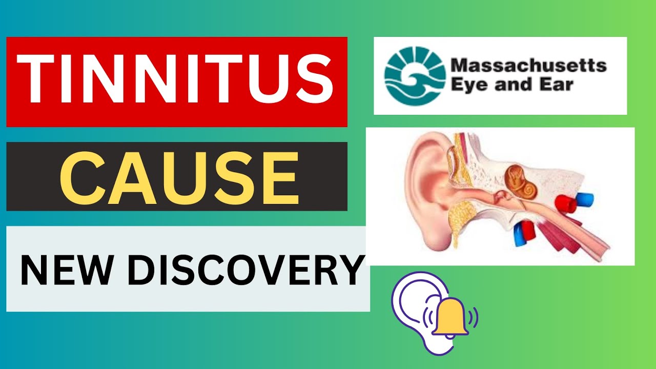 Cause of Tinnitus (ringing in ears) Discovered: A study - YouTube