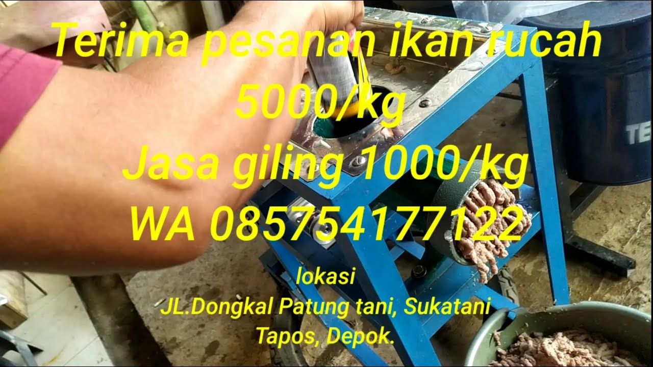 Jual ikan rucah 5k/kg protein 92%, gilingan halus, khusus ternak ...