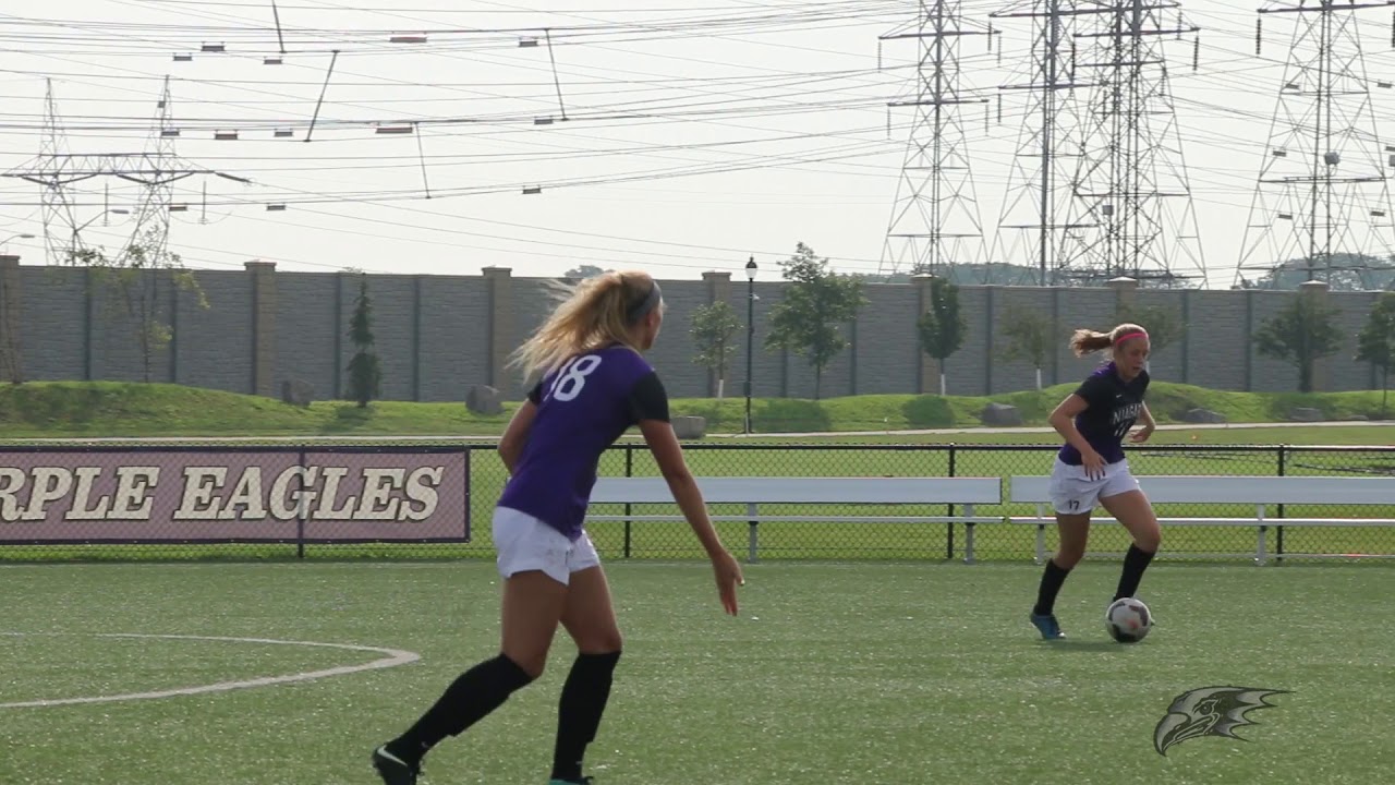 Purple Eagles Wired: Peter Veltri - YouTube