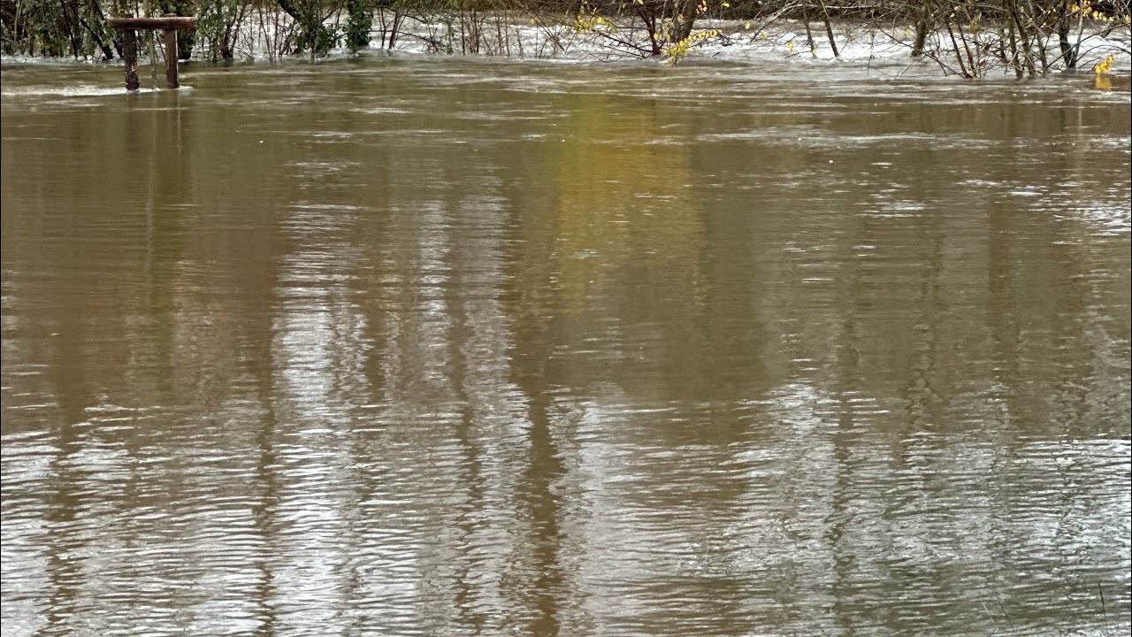 No More Rain Please!!! Everywhere is Flooded - YouTube