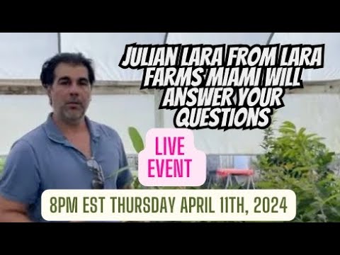 Live Q&A with Julian of Lara Farms in Miami Part 4 - YouTube